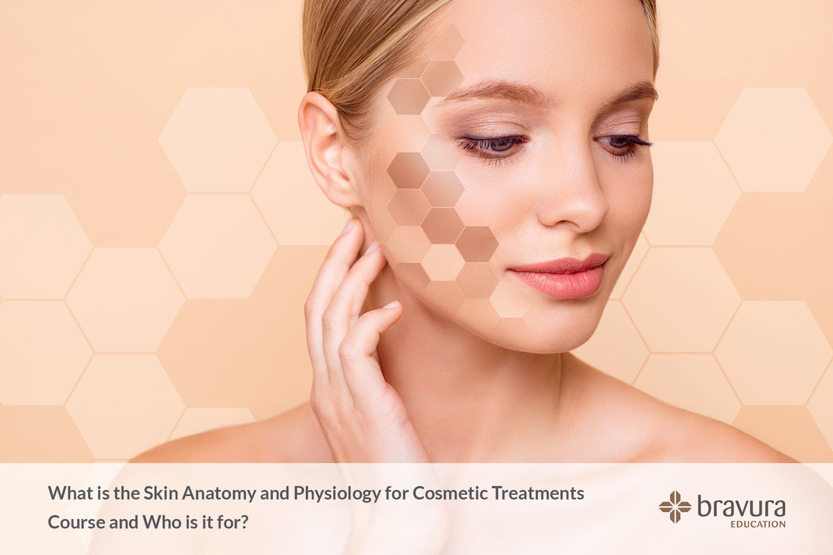 What is the Skin Anatomy and Physiology for Cosmetic Treatments Course ...